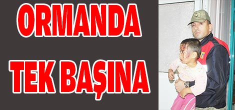 ORMANDA TEK BAŞINA